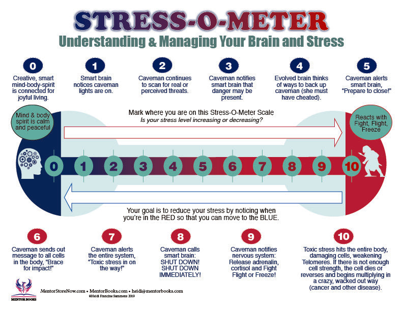 Brain Trauma Processing Chart: How the Brain PDF Version – Mentor Books ...