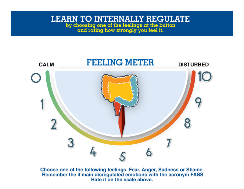Feeling and Thought Meter – Mentor Books West