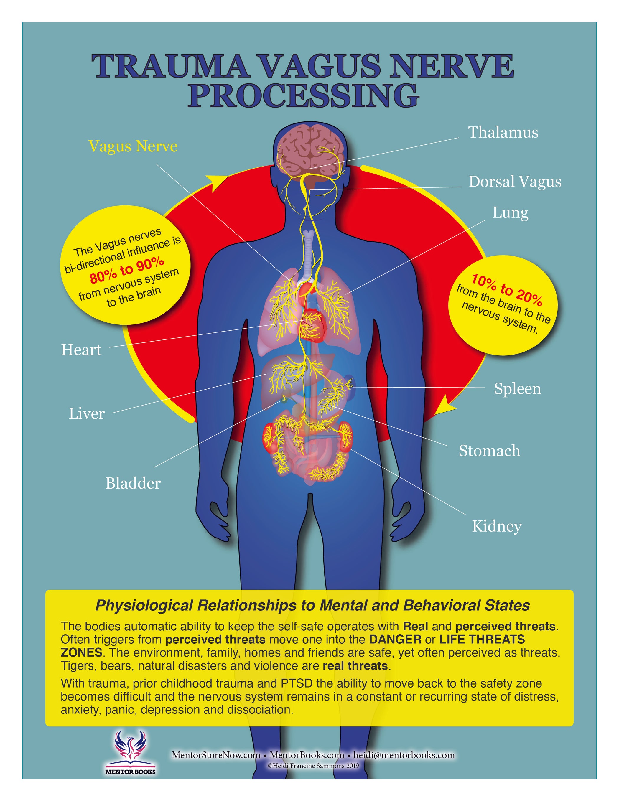 The Polyvagal Theory Chart – Mentor Books West
