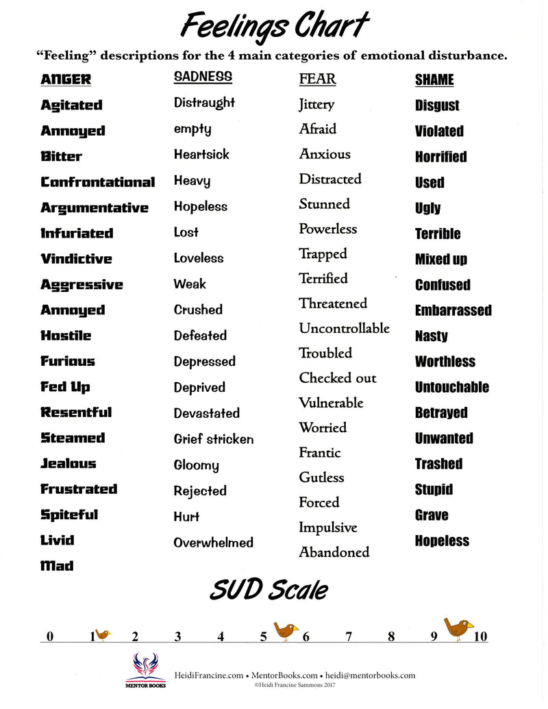 Feelings Chart – Mentor Books West